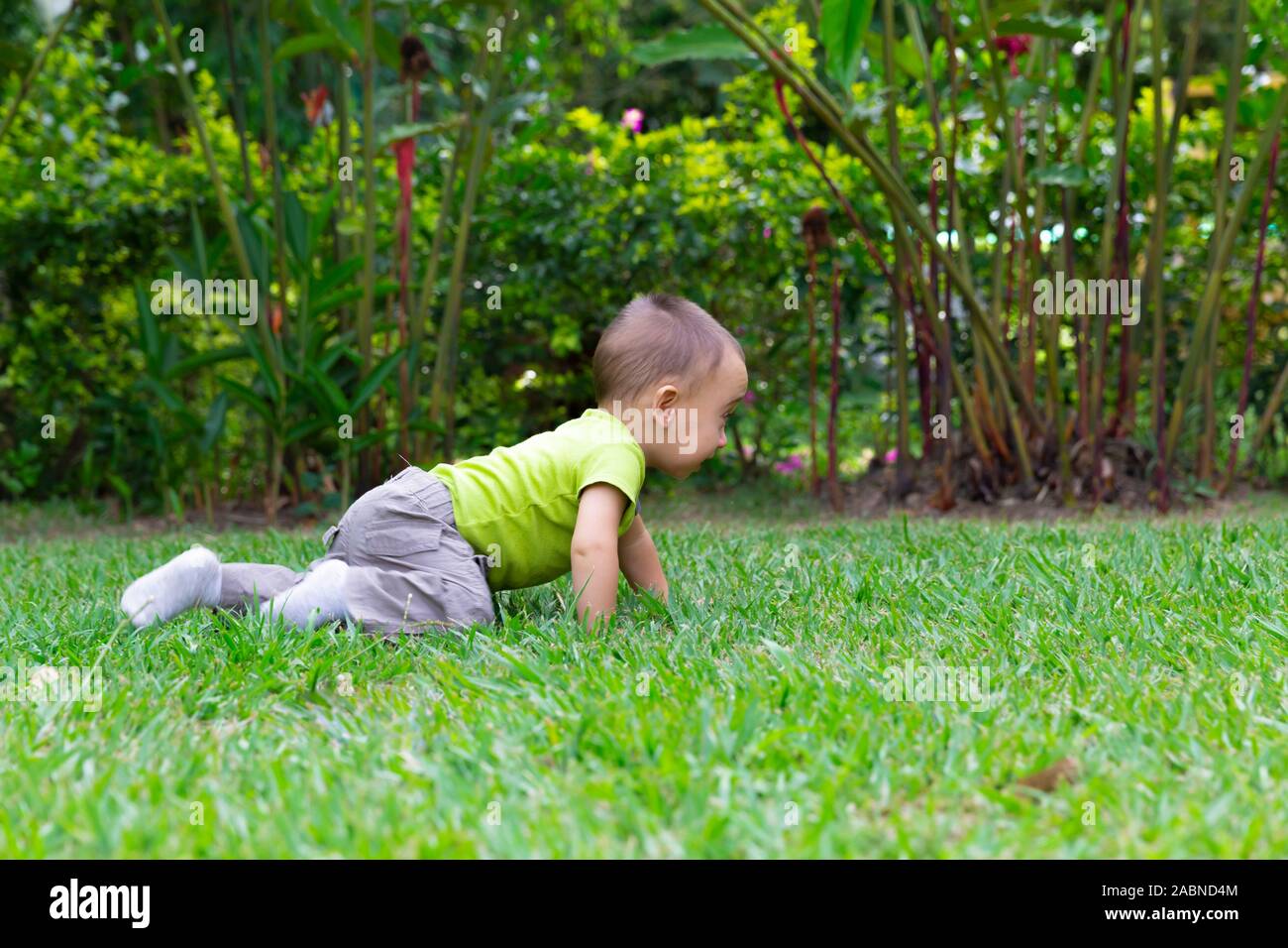 Happy Baby Boy Learning to Crawl in the Grass Stock Photo - Alamy