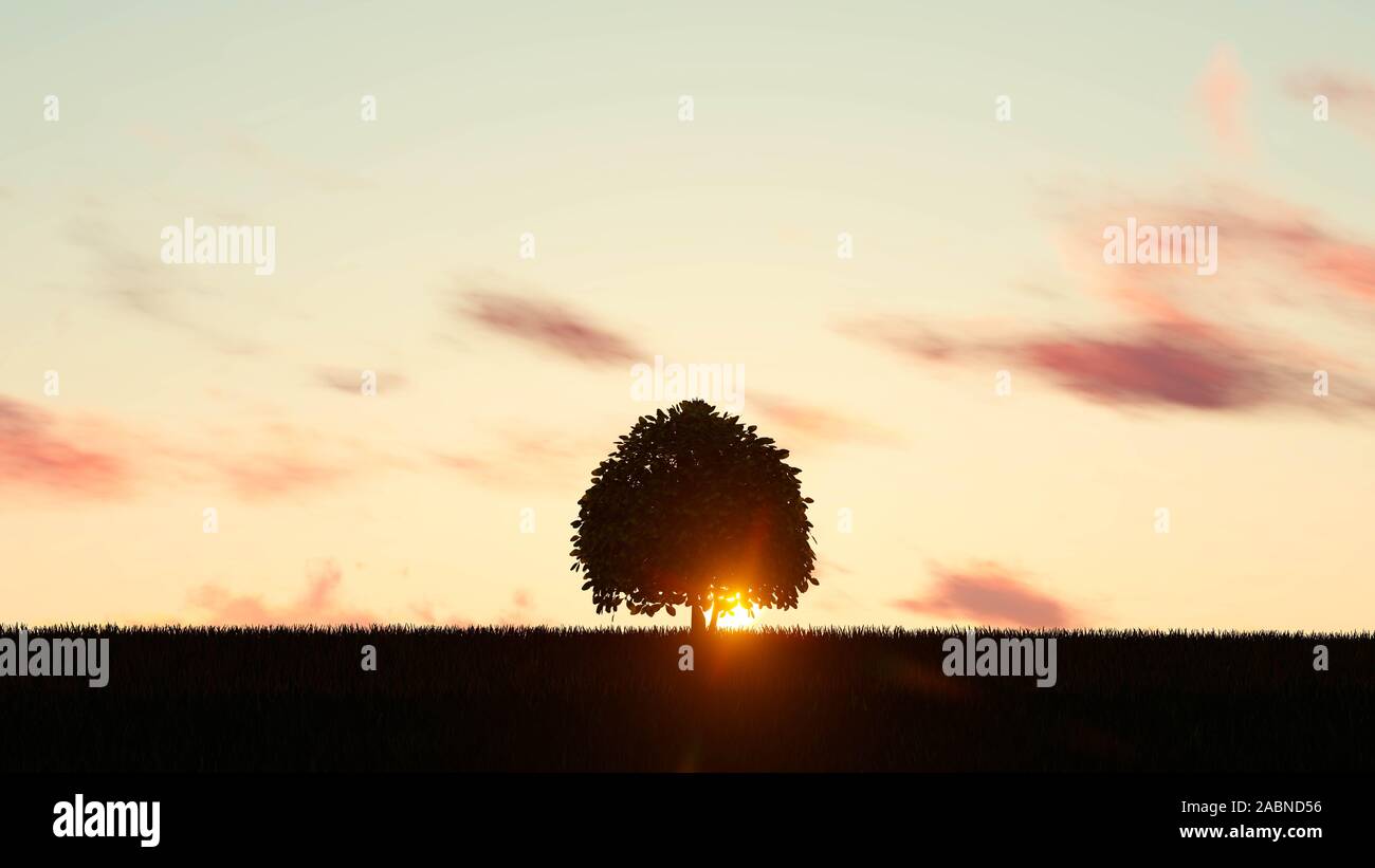 Plant at Sunset Landscape Background, 3D Rendering Stock Photo - Alamy