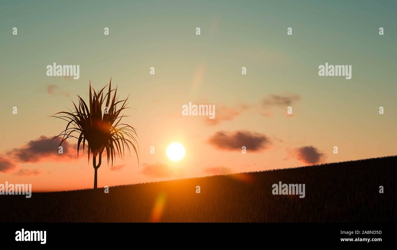 Plant at Sunset Landscape Background, 3D Rendering Stock Photo - Alamy