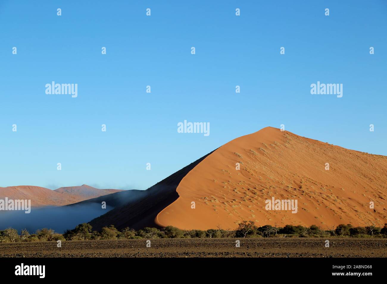 The red Dunes around Sossusvlei, Namibia Stock Photo - Alamy