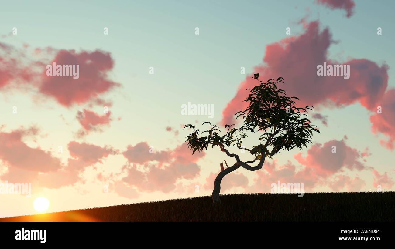 Plant at Sunset Landscape Background, 3D Rendering Stock Photo - Alamy