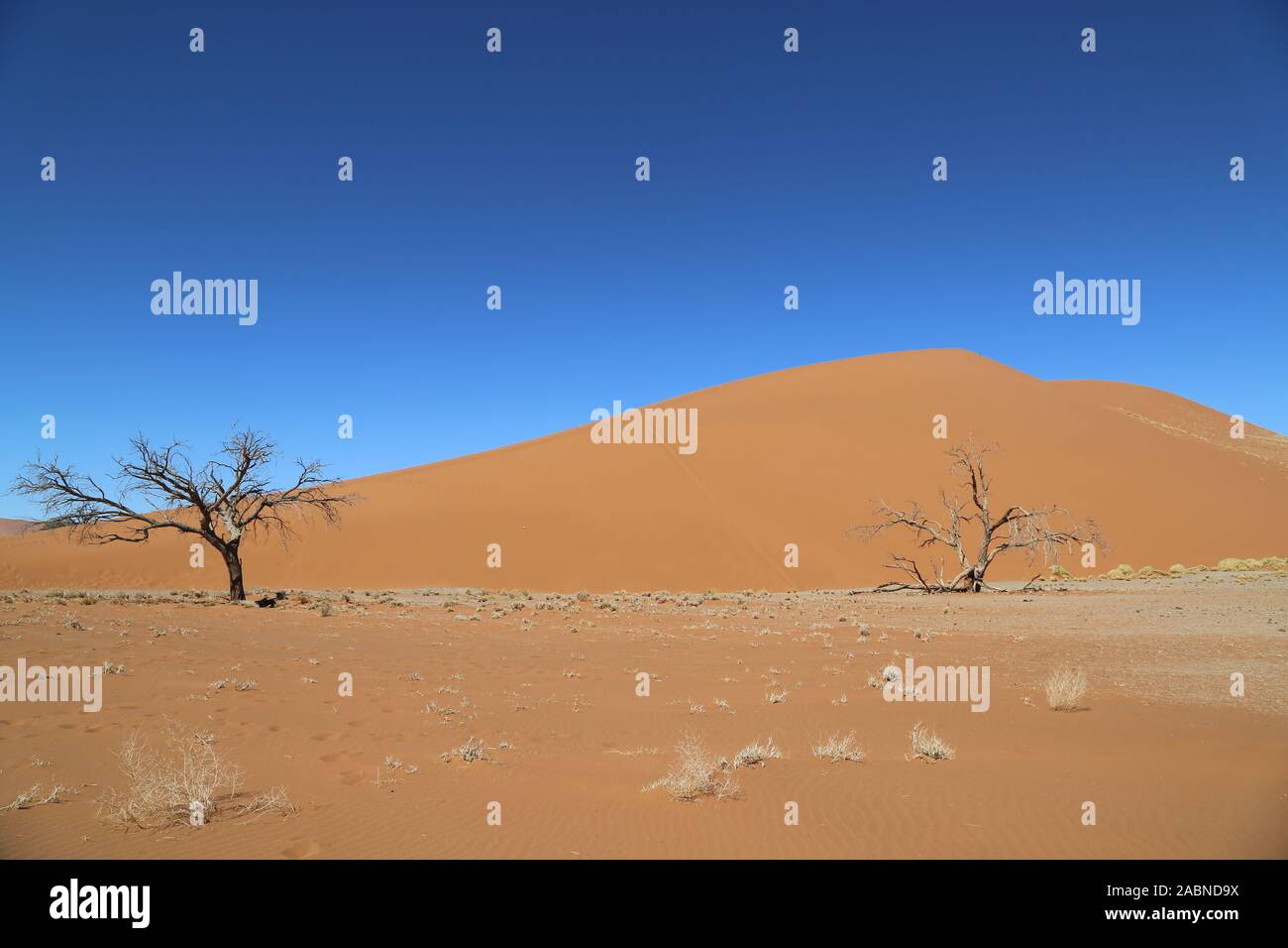 The red Dunes around Sossusvlei, Namibia Stock Photo - Alamy