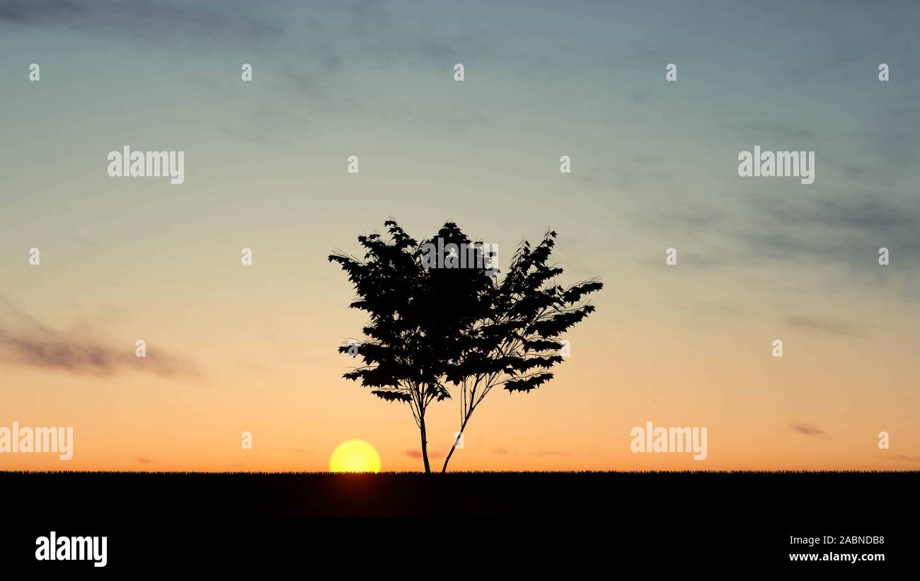 Plant at Sunset Landscape Background, 3D Rendering Stock Photo - Alamy