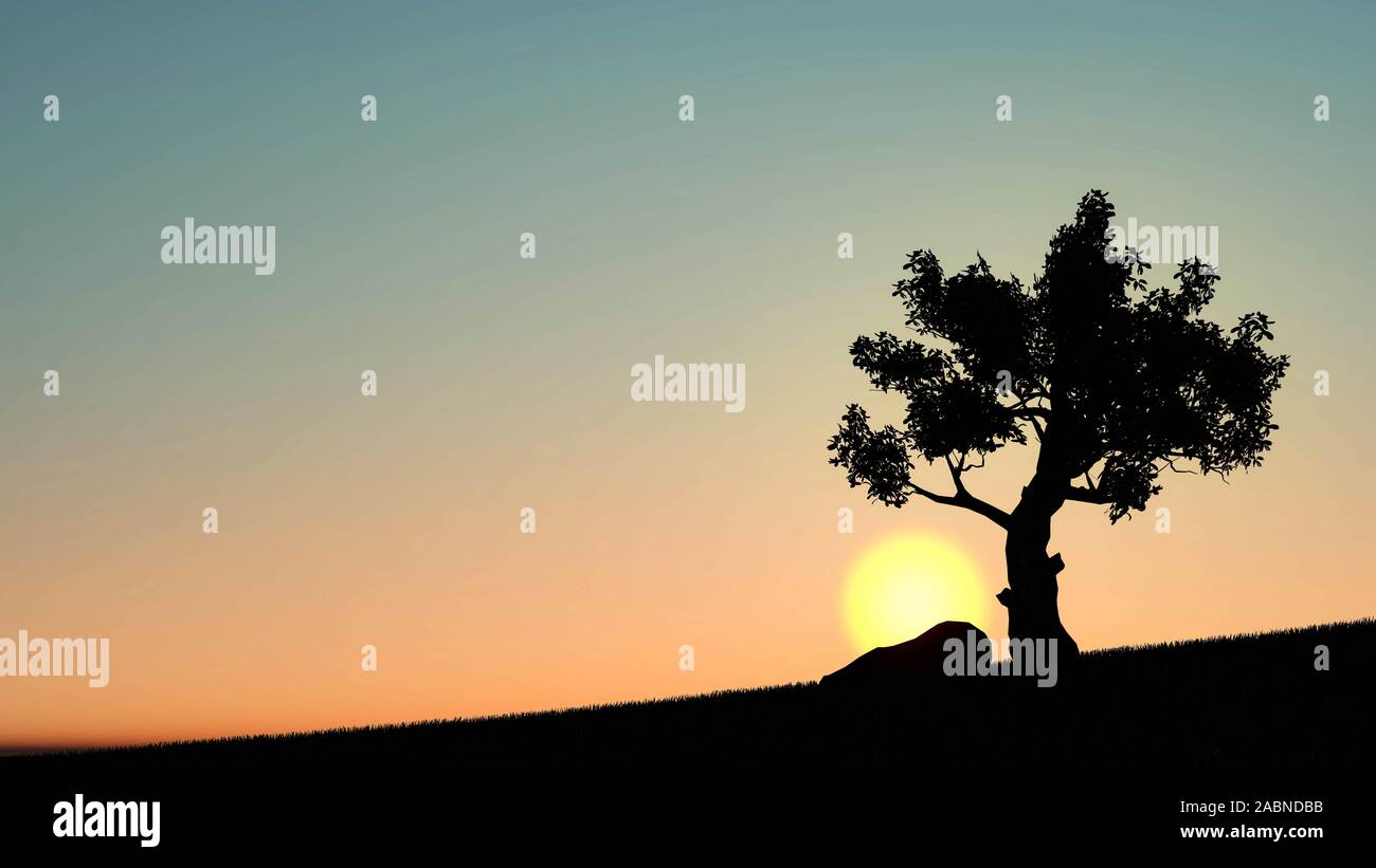 Plant at Sunset Landscape Background, 3D Rendering Stock Photo - Alamy