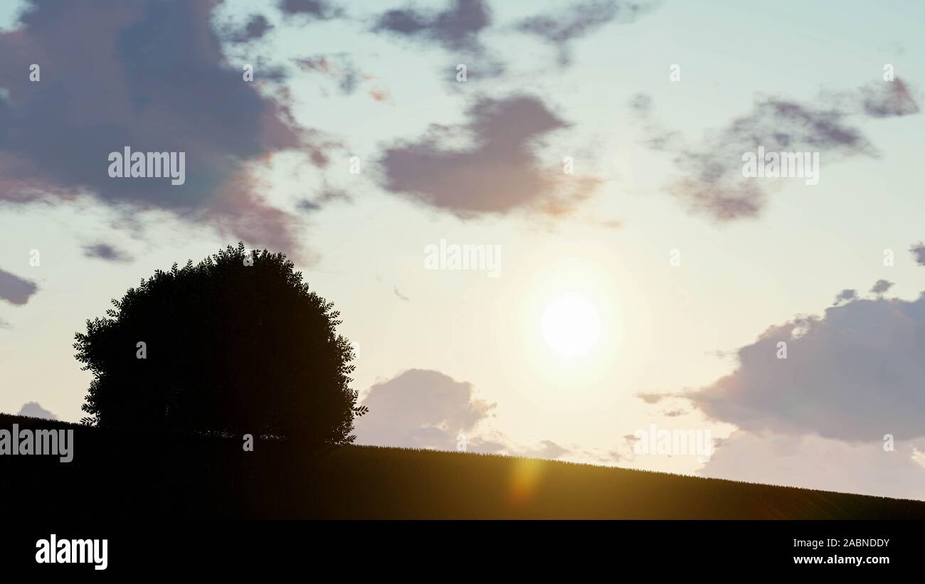 Plant at Sunset Landscape Background, 3D Rendering Stock Photo - Alamy