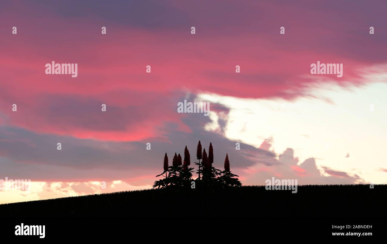 Plant at Sunset Landscape Background, 3D Rendering Stock Photo - Alamy
