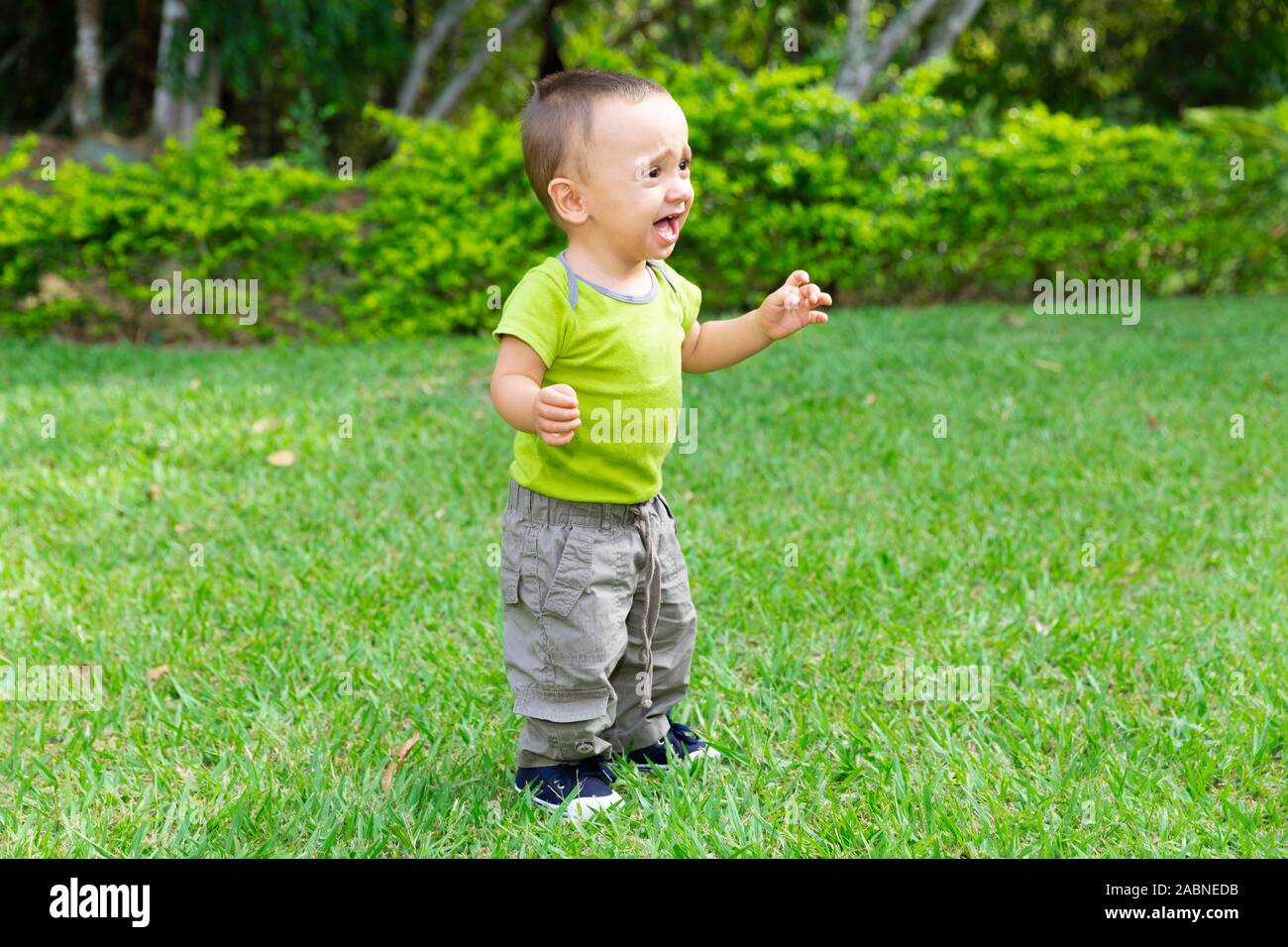 Sweet Sad Toddler Boy Crying in the Grass Stock Photo - Alamy