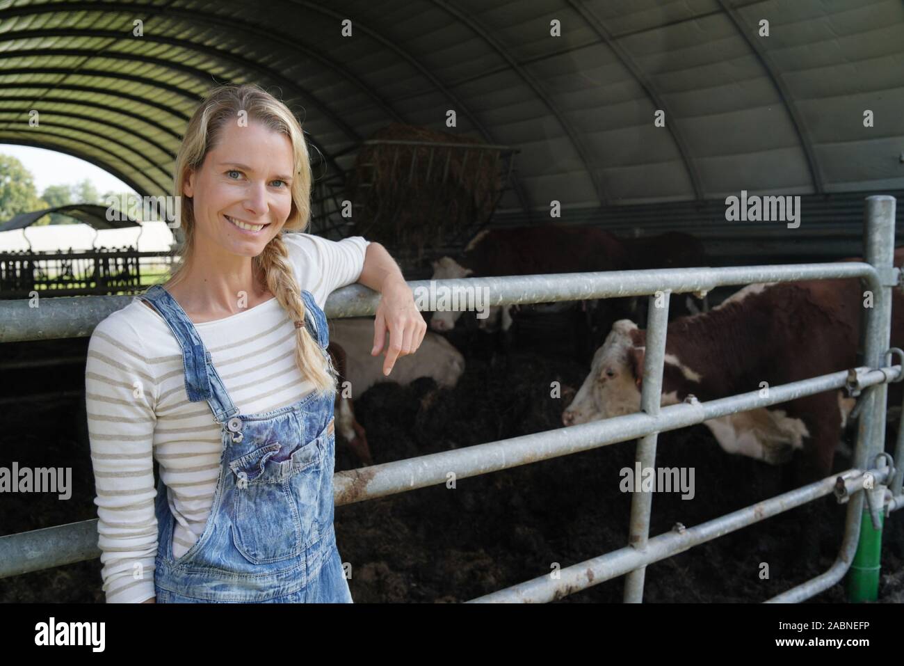 Breeder woman standing by cow barn Stock Photo - Alamy
