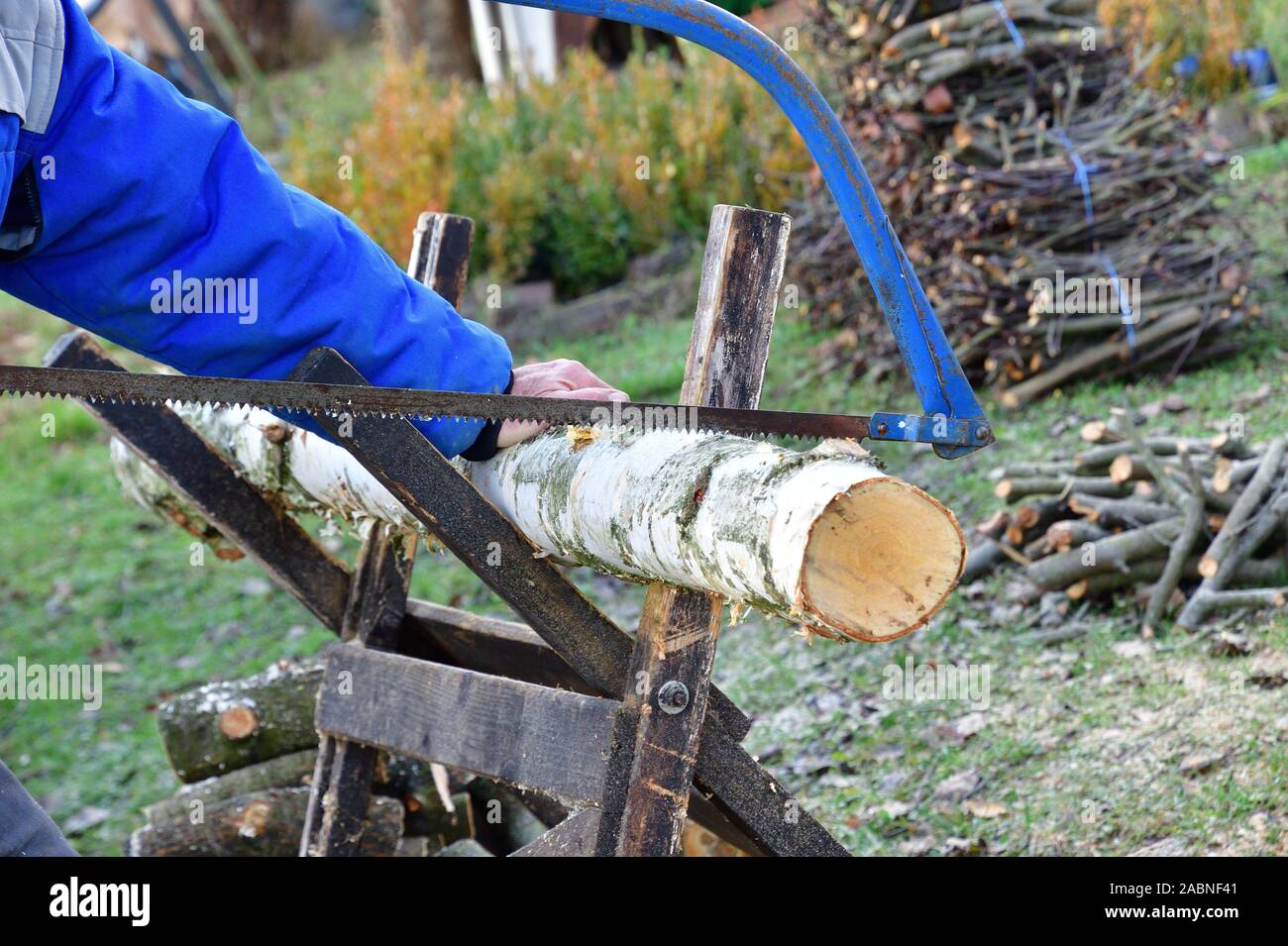 Traditional way of sawing wood in the village Stock Photo - Alamy