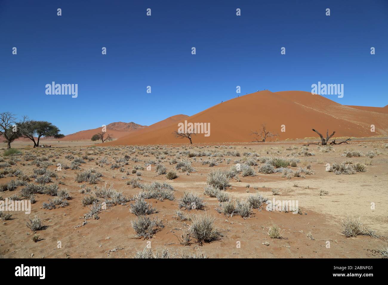 The red Dunes around Sossusvlei, Namibia Stock Photo - Alamy