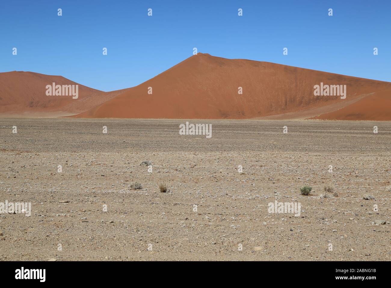 The red Dunes around Sossusvlei, Namibia Stock Photo - Alamy