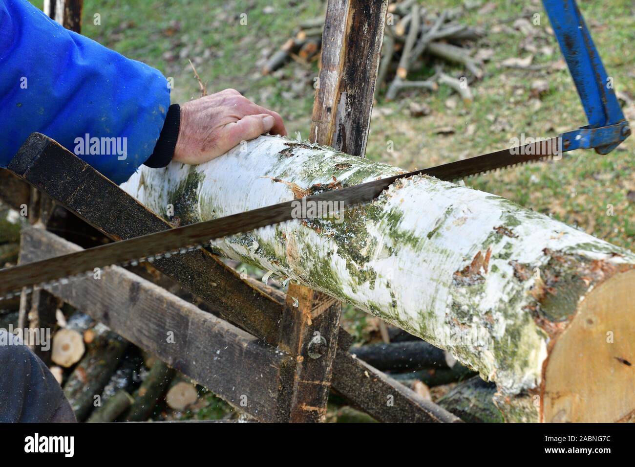 Traditional way of sawing wood in the village Stock Photo - Alamy