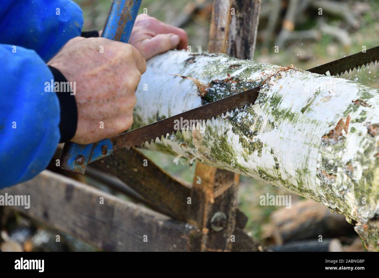 Detail of a wood sawing traditionally in the village Stock Photo - Alamy
