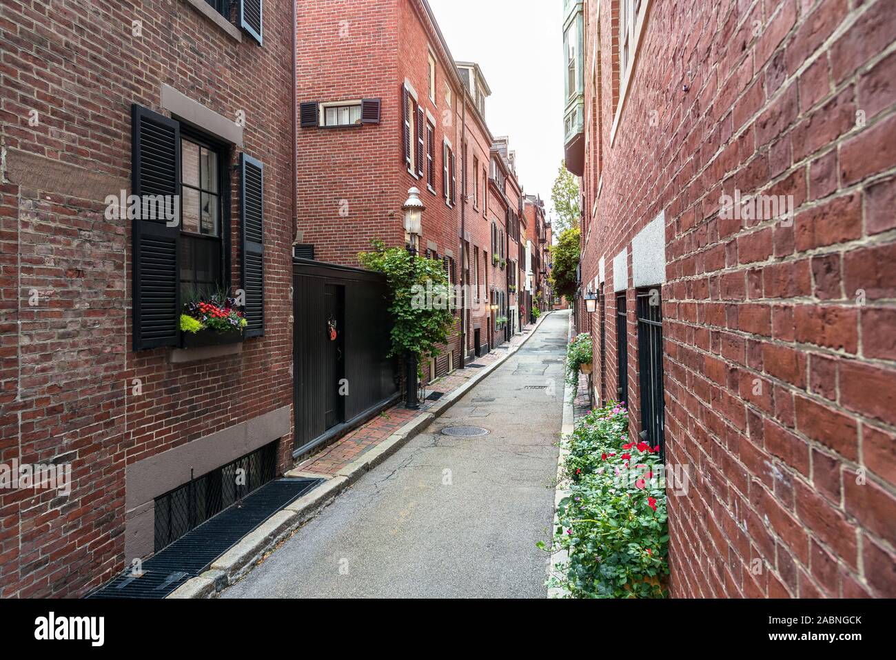 Narrow alley lined with traditional American brick residential ...