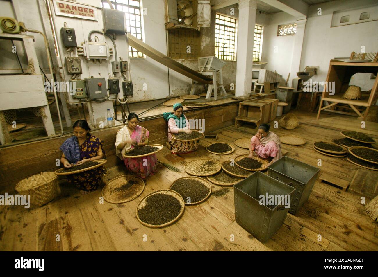 MAKAIBARI TEA ESTATES Stock Photo - Alamy