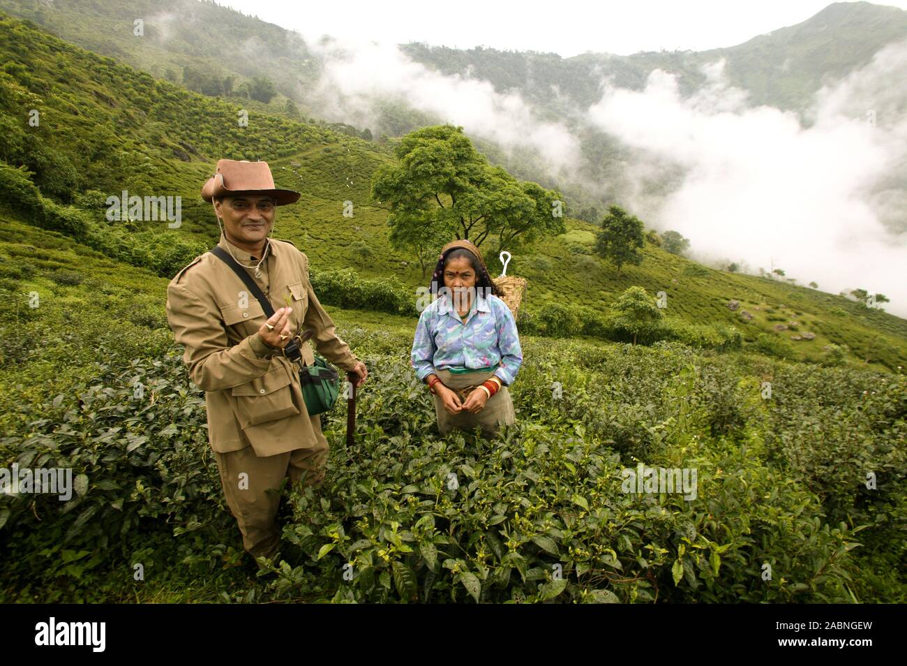 Tea tasting hi-res stock photography and images - Alamy