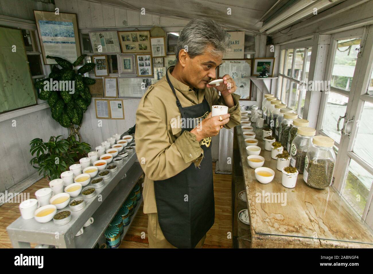 MAKAIBARI TEA ESTATES Stock Photo - Alamy
