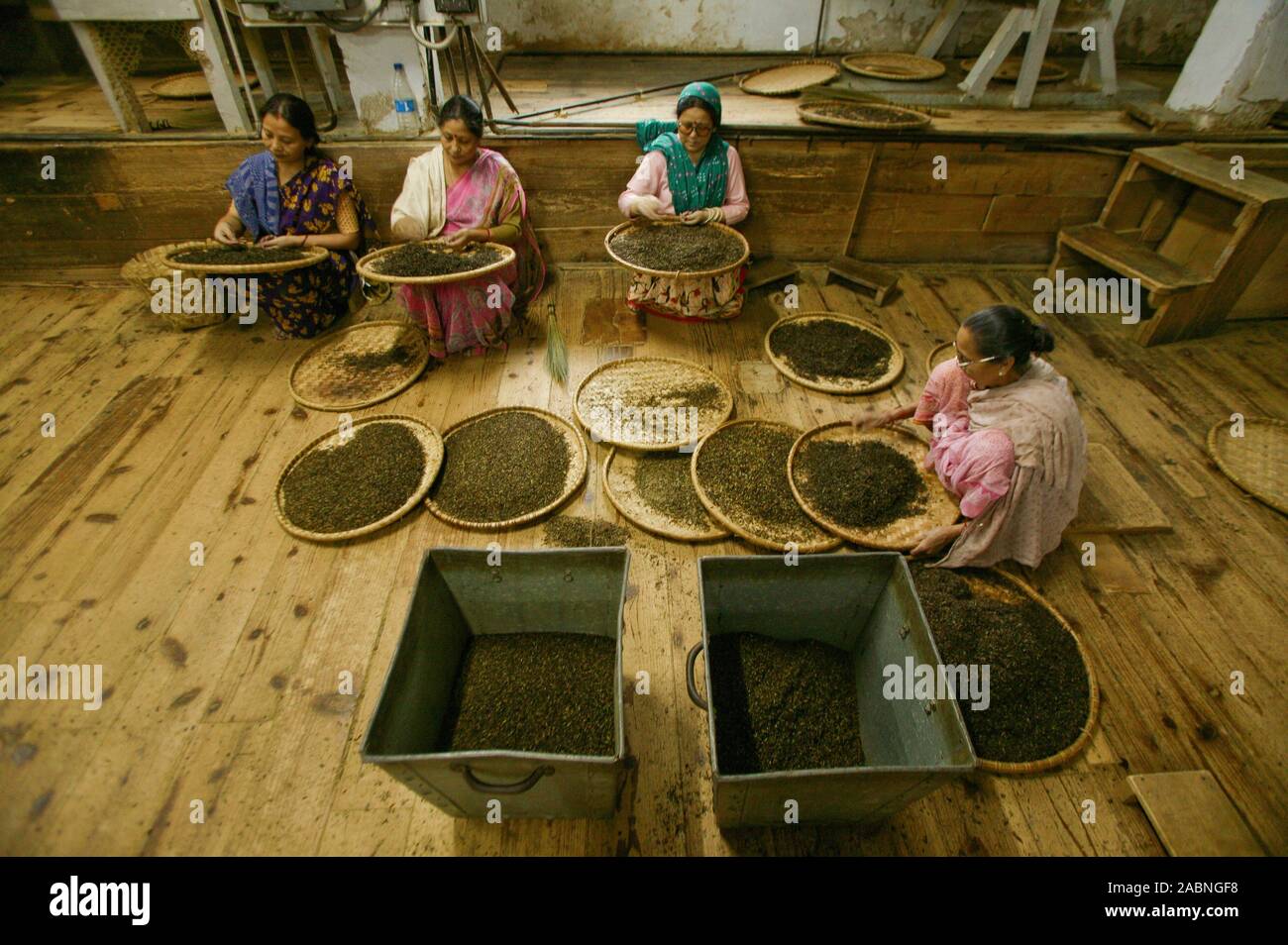 MAKAIBARI TEA ESTATES Stock Photo - Alamy