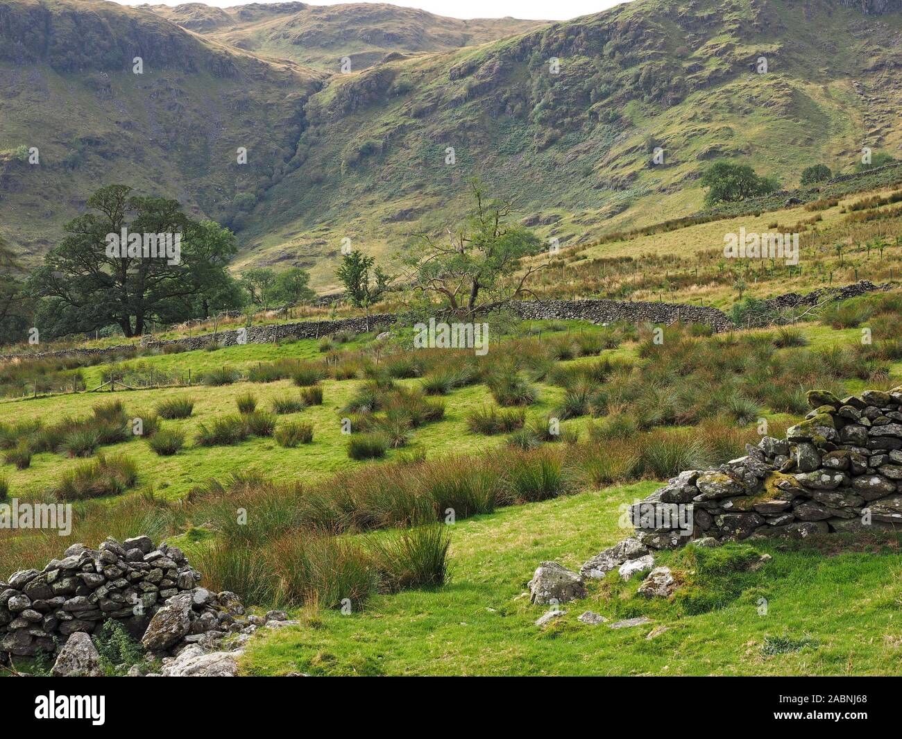landscape view looking towards Hobgrumble Beck at the head of Swindale ...