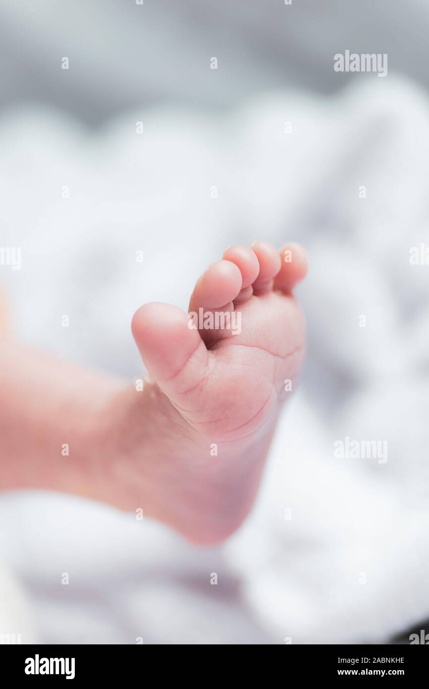 Newborn baby feet isolated on white background Stock Photo - Alamy