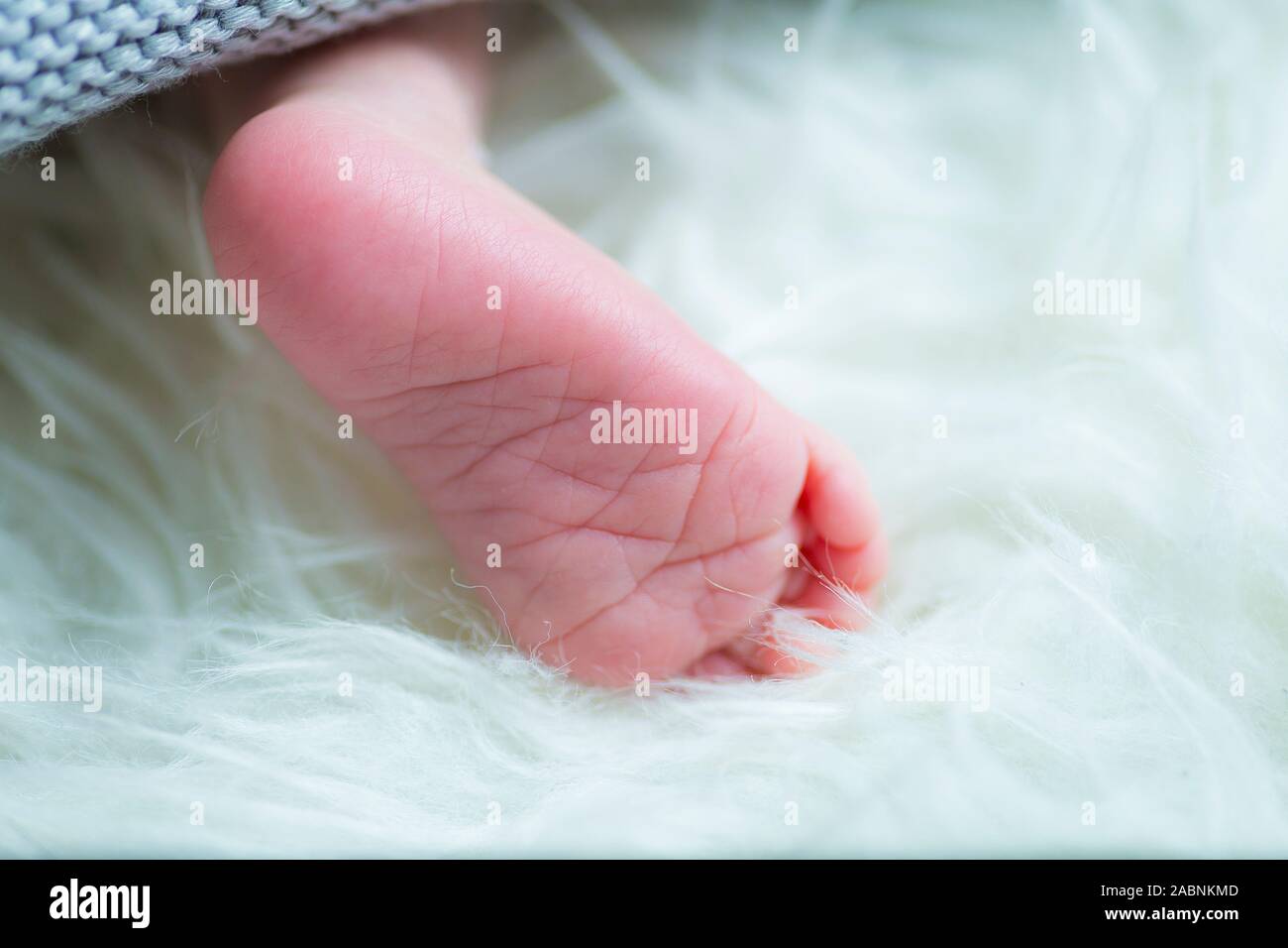 Newborn baby feet isolated on white background Stock Photo - Alamy