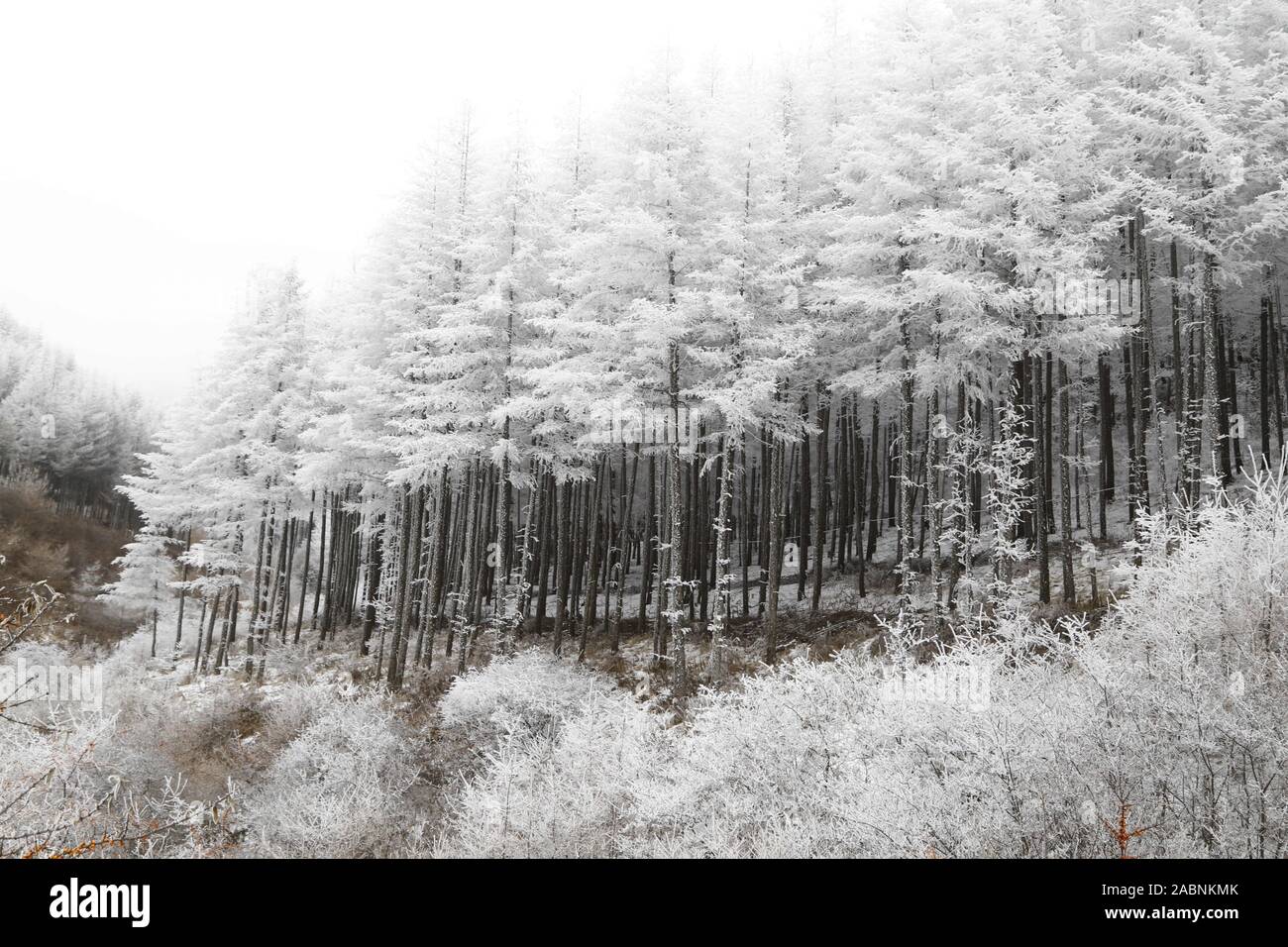 Ningxia city hi-res stock photography and images - Alamy