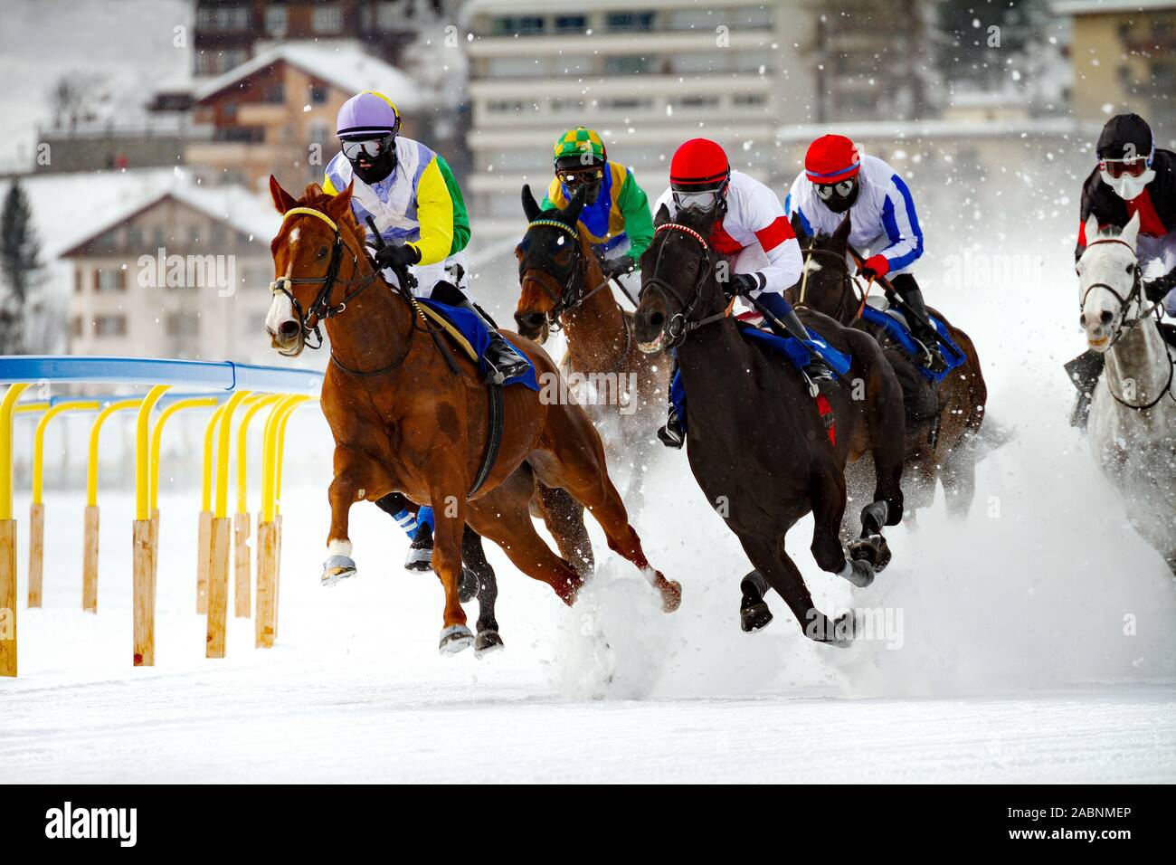 White Turf - Engadine - Switzerland Stock Photo - Alamy