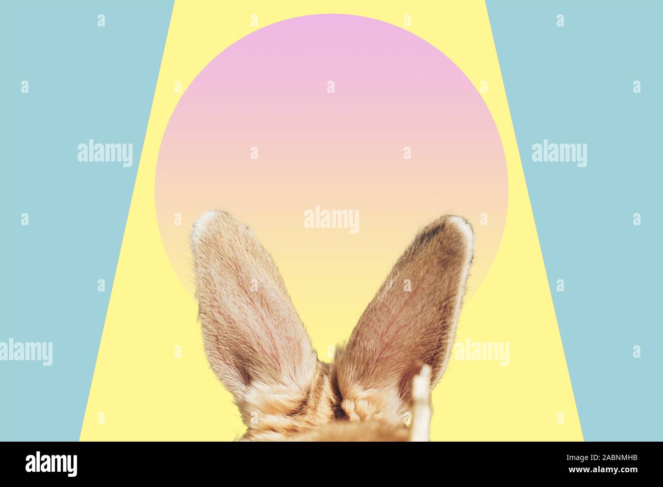 Beautiful abstract surreal Rabbit ears collage concept, contemporary ...