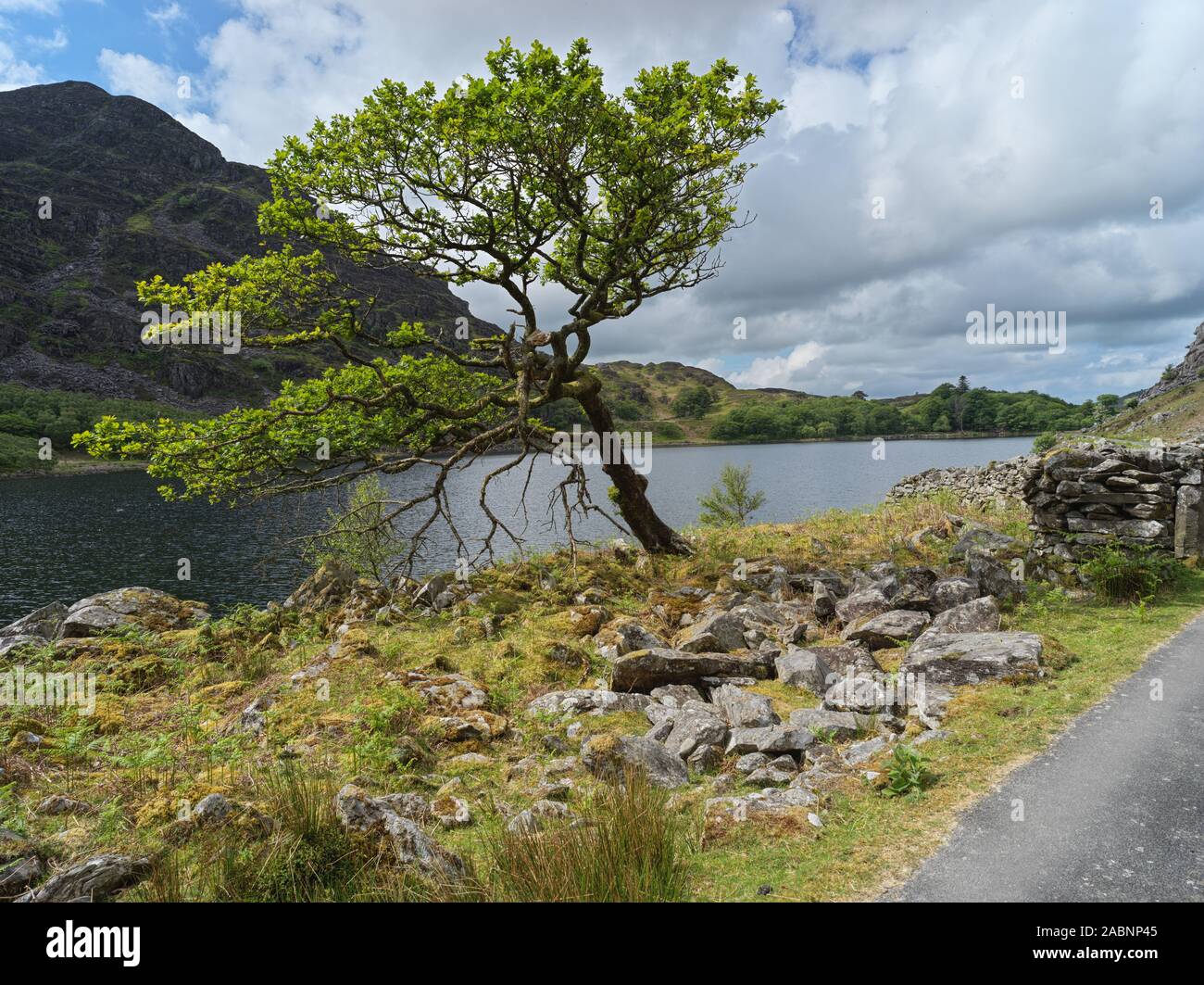 Cwm bychan hi-res stock photography and images - Alamy