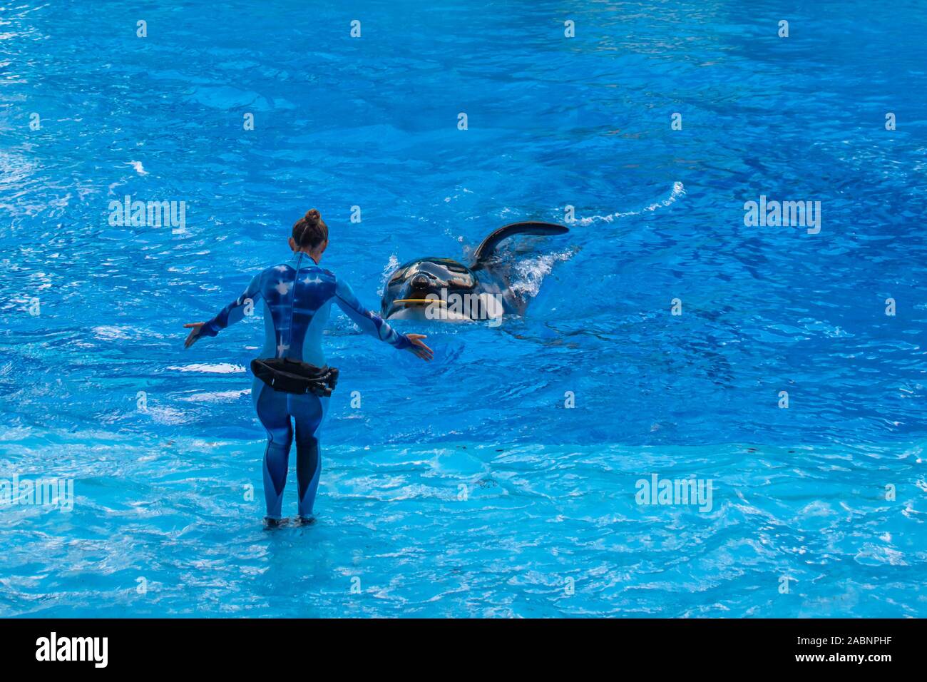 Orlando, Florida. November 22. 2019. Trainer giving directions and ...