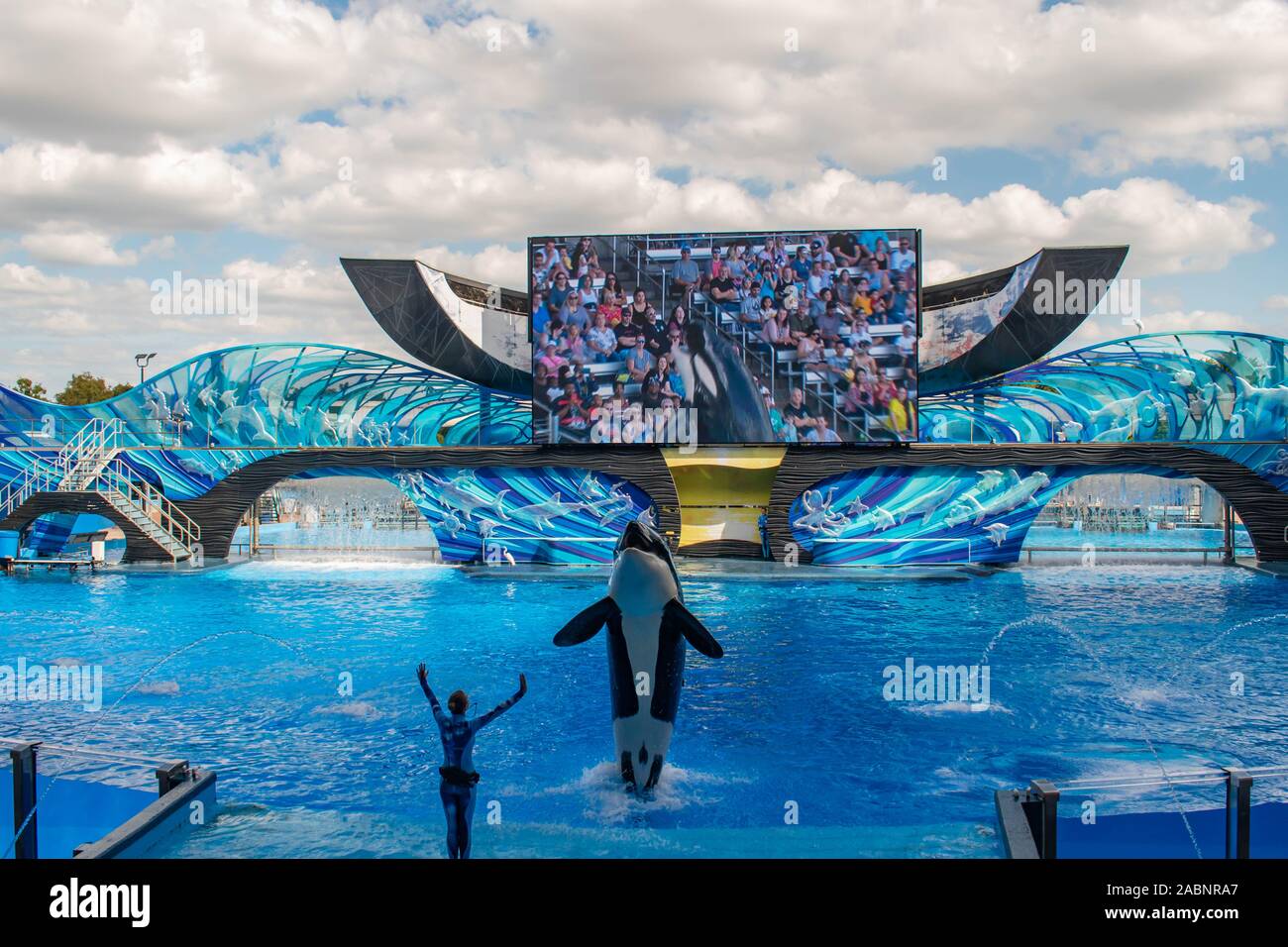Orlando, Florida. November 22. 2019. Trainer giving directions and ...