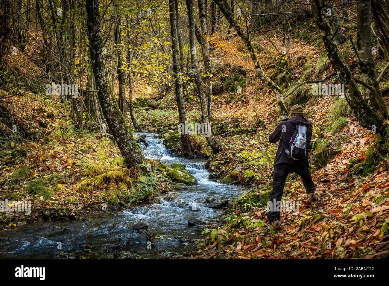 Path from Pontito leads to the Croce a Veglia with the Pescia stream of ...
