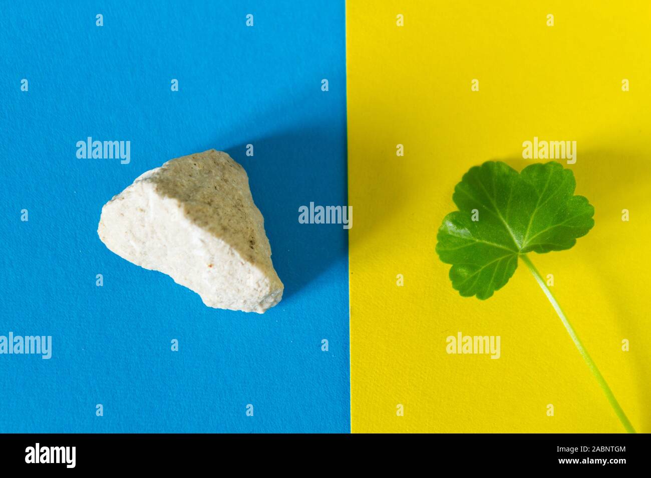 Death vs life hi-res stock photography and images - Alamy