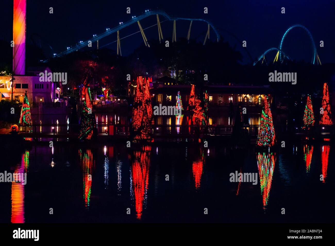 Orlando, Florida. November 23, 2019. Colorful Sea of Trees in SeaWorlds ...