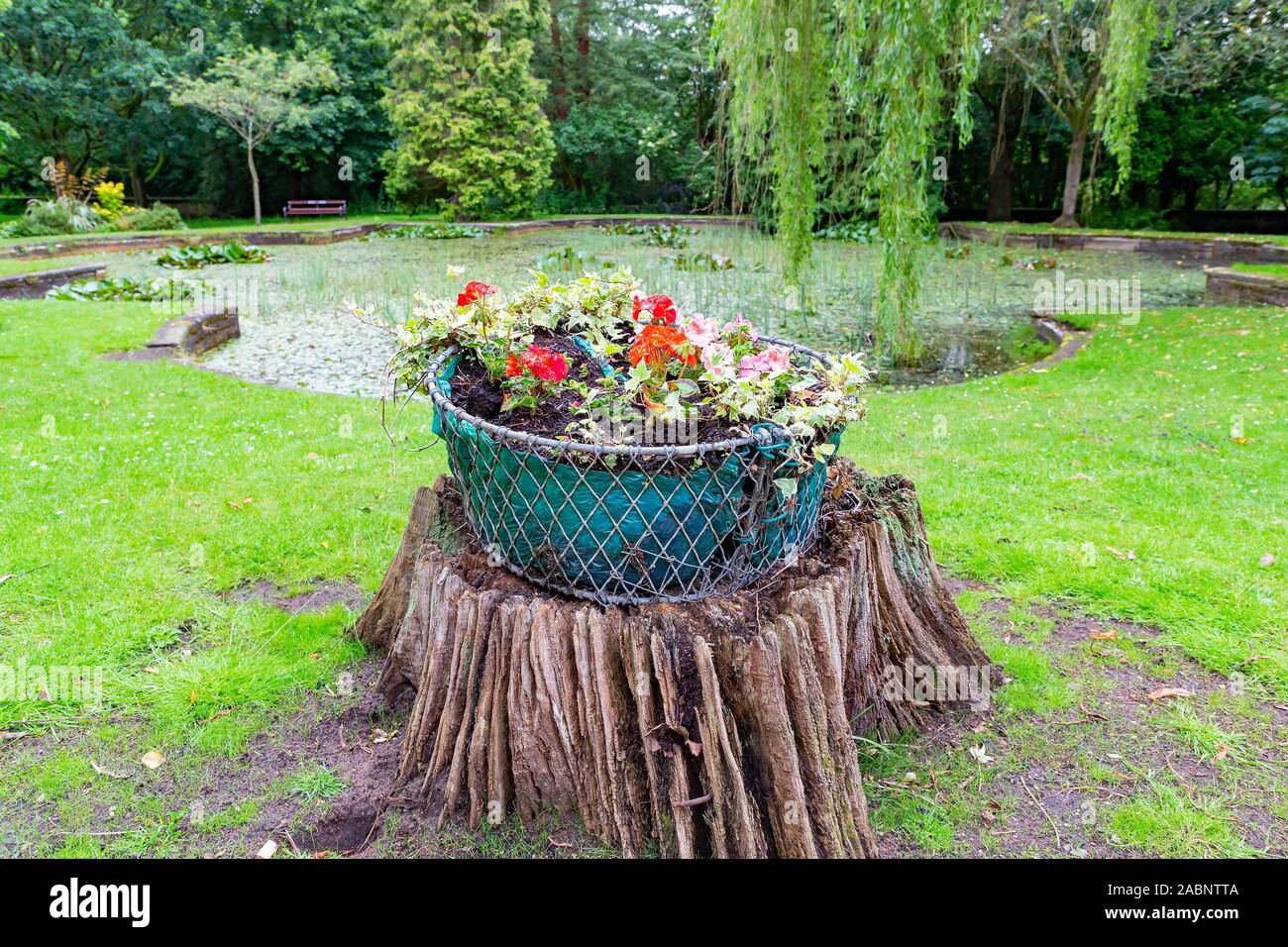 Denzell gardens devisdale hi-res stock photography and images - Alamy