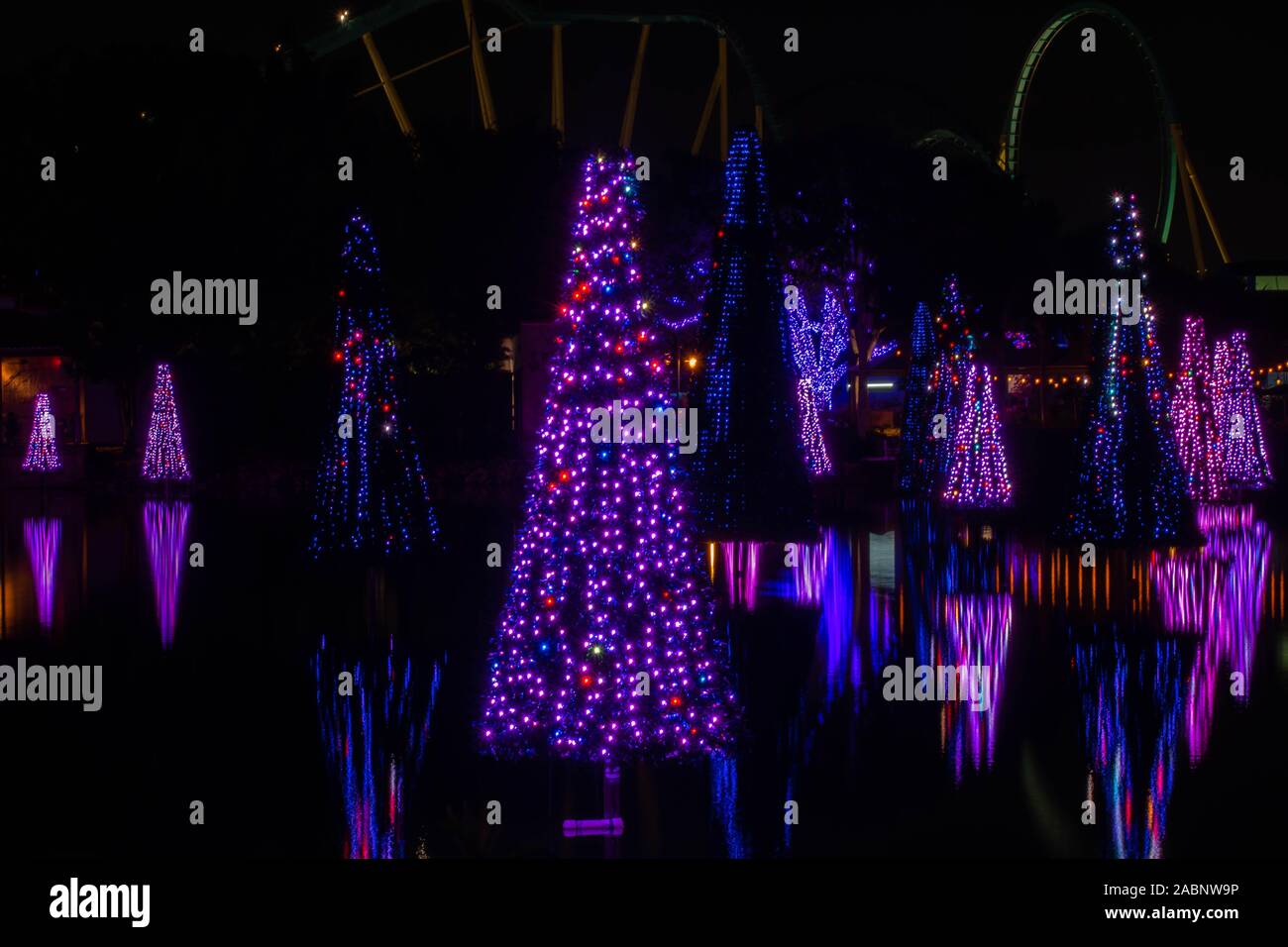 Orlando, Florida. November 23, 2019. Colorful Sea of Trees in SeaWorlds ...