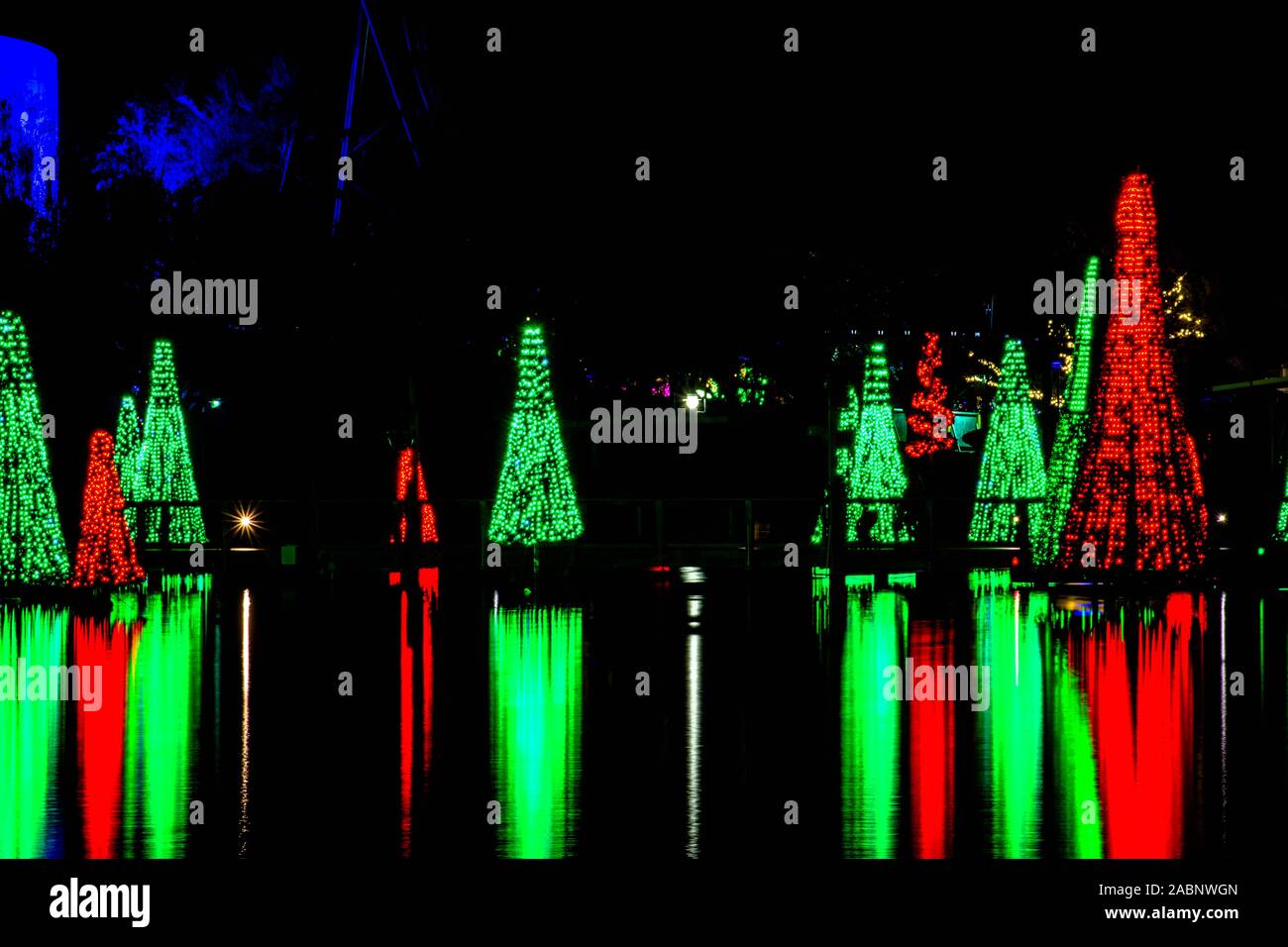 Orlando, Florida. November 23, 2019. Colorful Sea of Trees in SeaWorlds ...