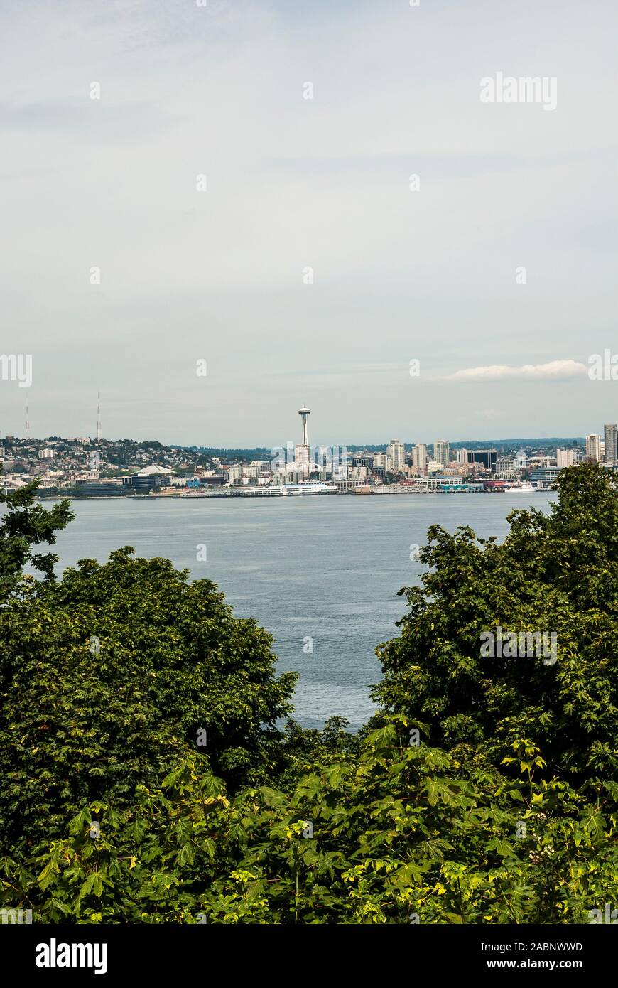 Framed by foliage, a view of the Seattle Skyline across Puget Sound ...