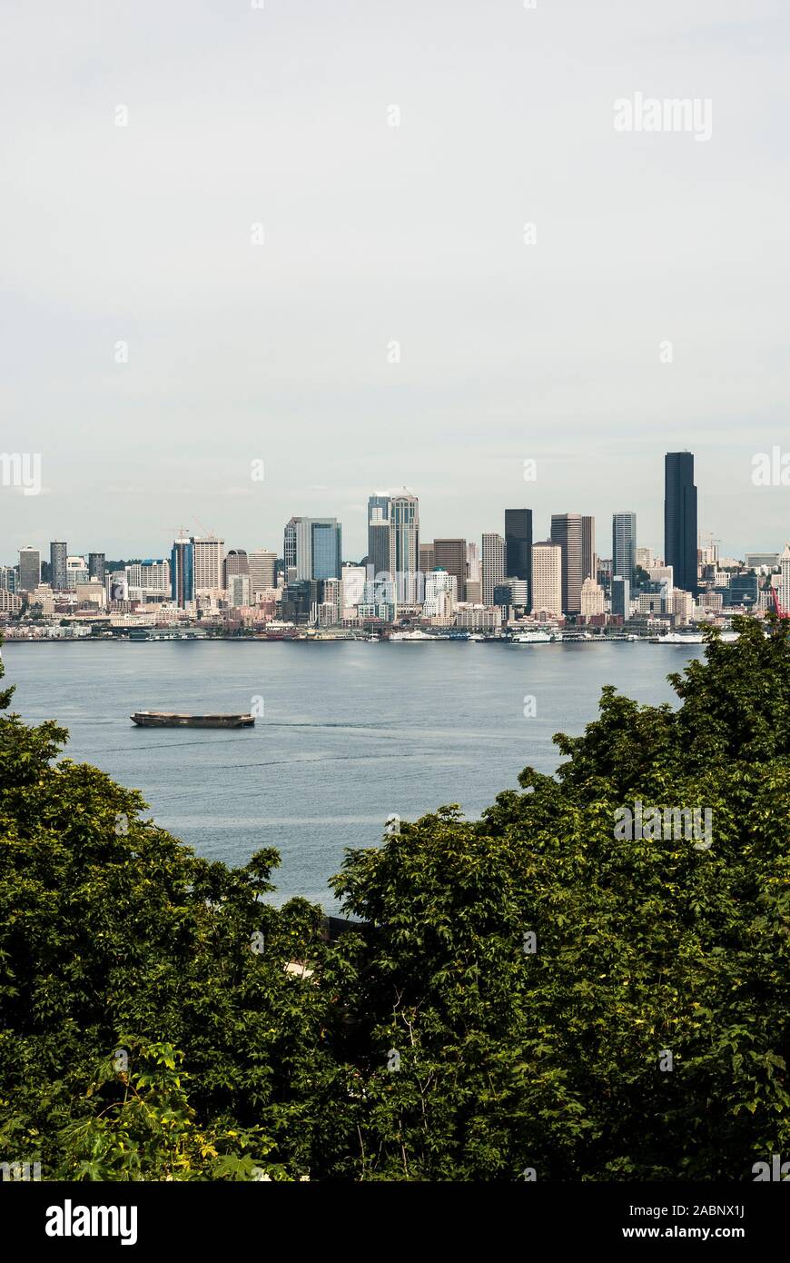 Framed by foliage, a view of the Seattle Skyline across Puget Sound ...