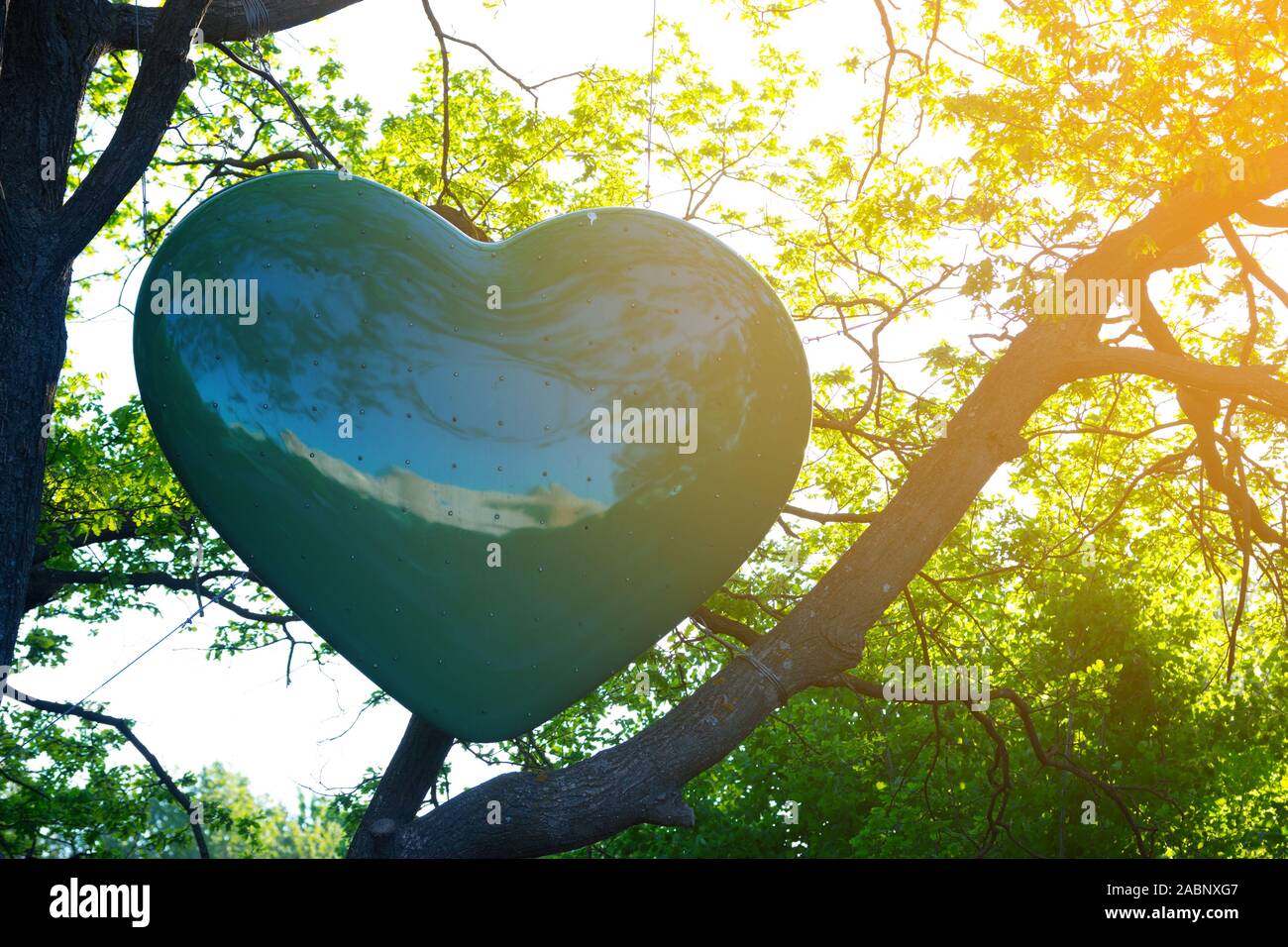 Green heart on the tree. Love to nature concept Stock Photo - Alamy