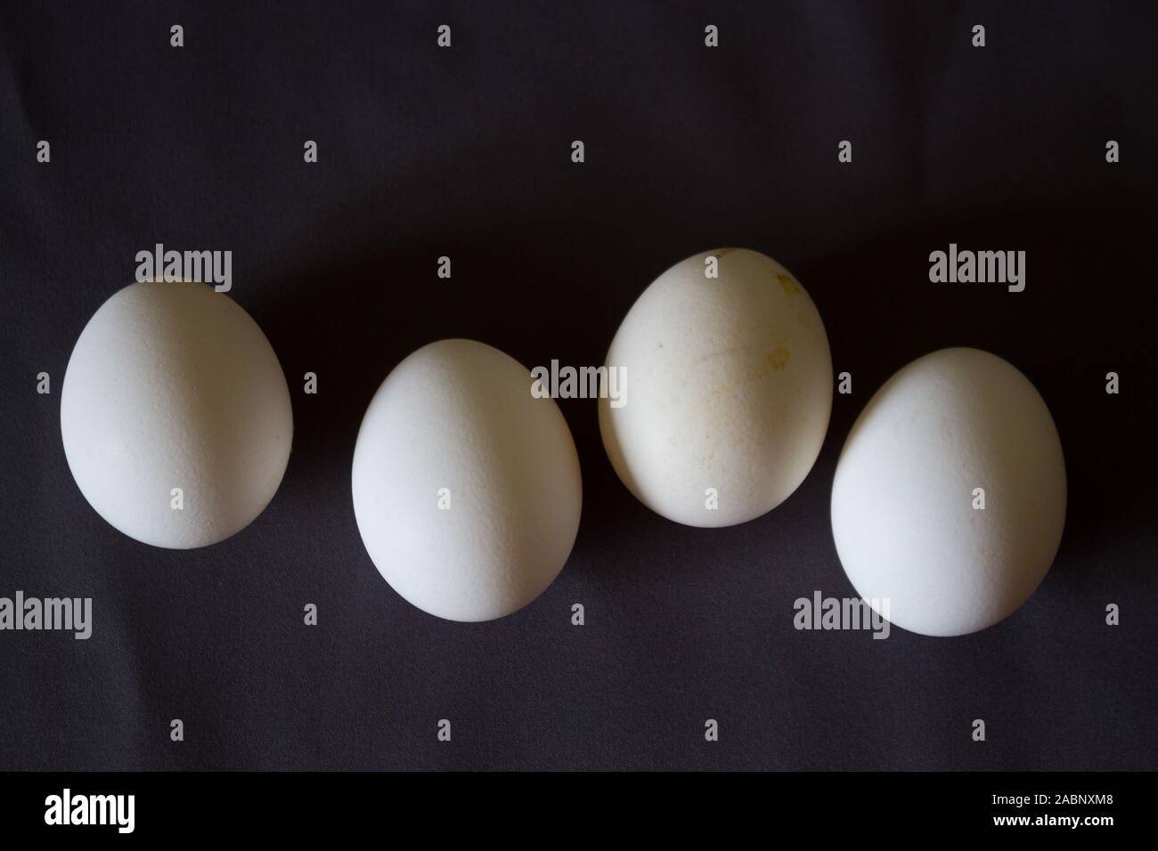 Egg selection concept. Hand choosing one egg Stock Photo - Alamy