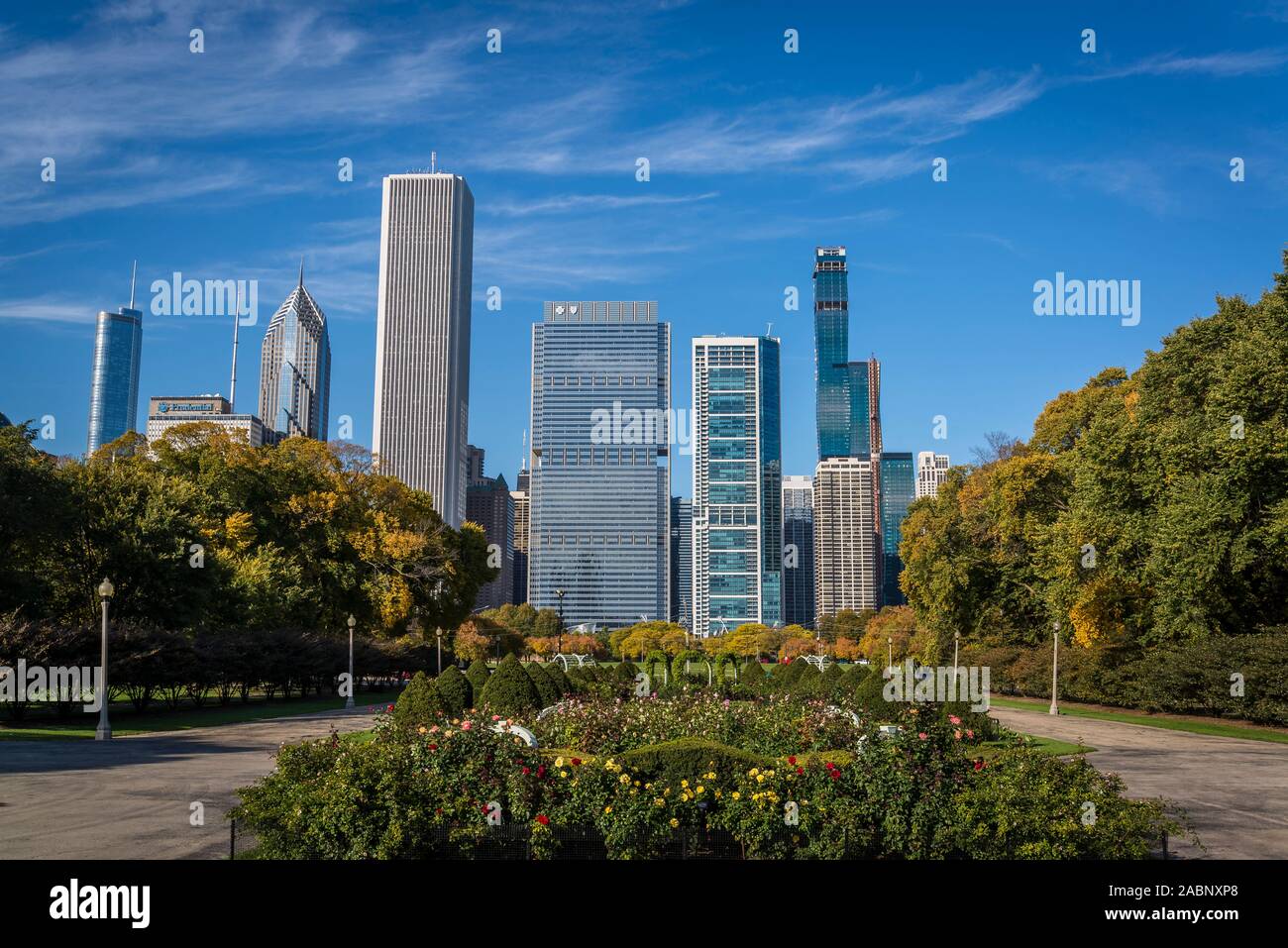 Grant Park Rose Garden and skyline of skyscrapers north the Millennium ...