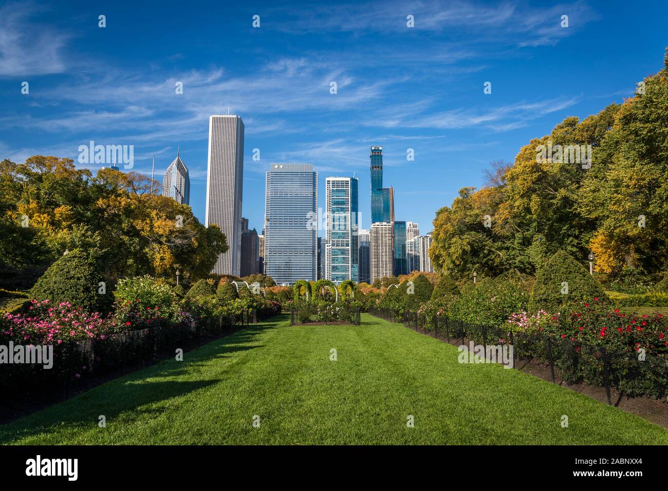 Grant Park Rose Garden and skyline of skyscrapers north the Millennium ...