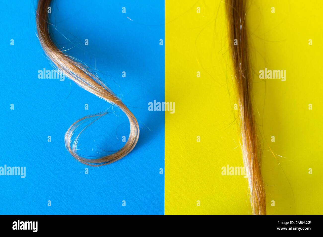 Curly hair vs straight hair. Choosing hairstyle concept Stock Photo - Alamy