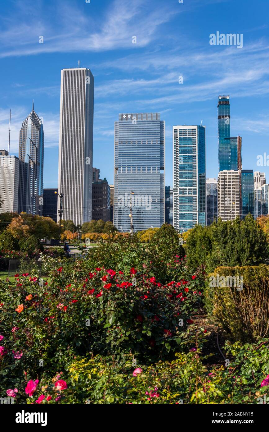 Grant Park Rose Garden and skyline of skyscrapers north the Millennium ...