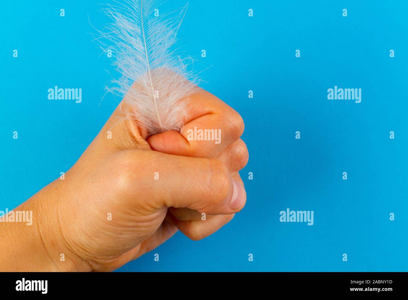 Fish with bird feather. Catch somebody concept Stock Photo - Alamy