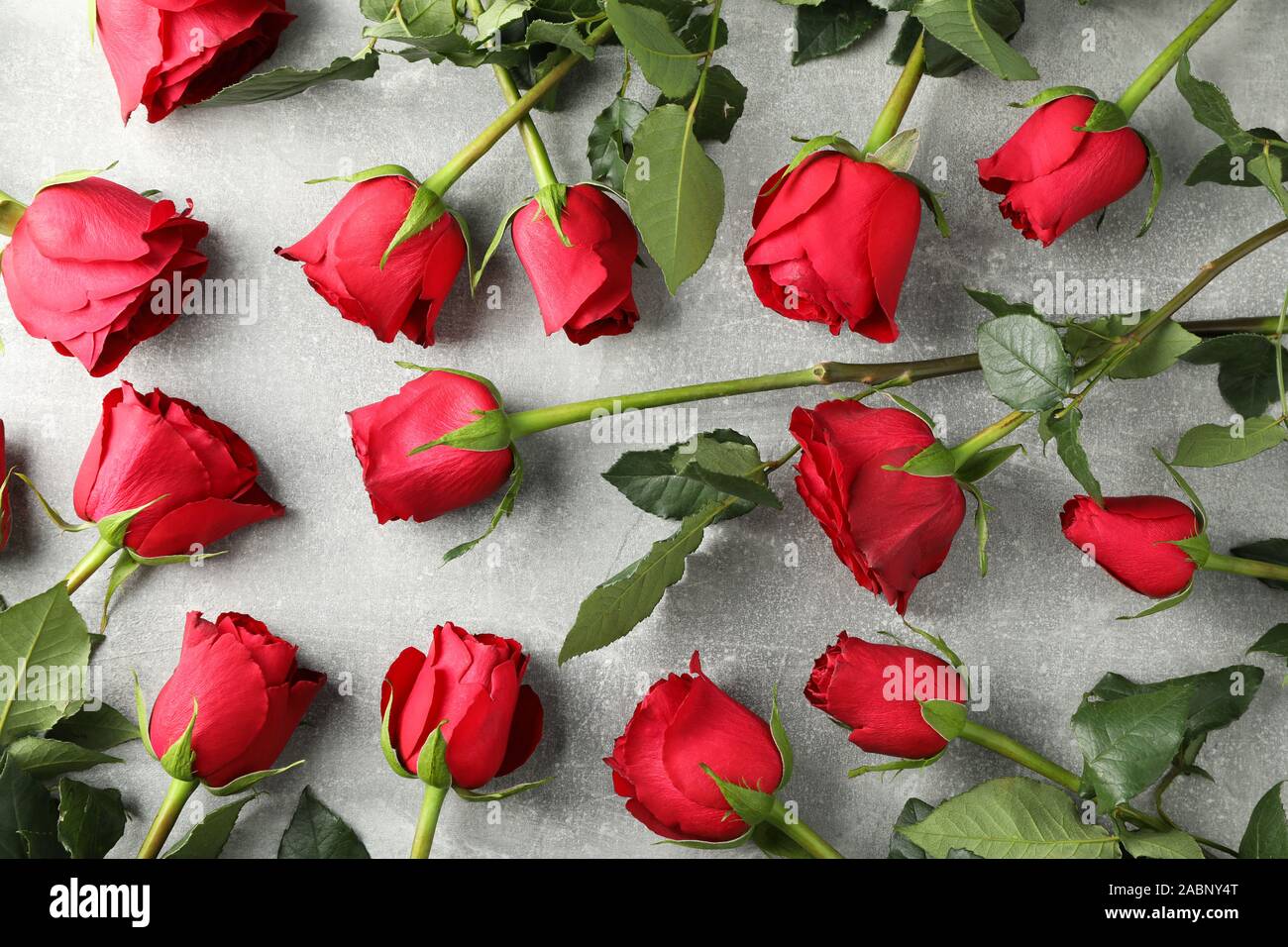 Grey background of red roses hi-res stock photography and images - Alamy