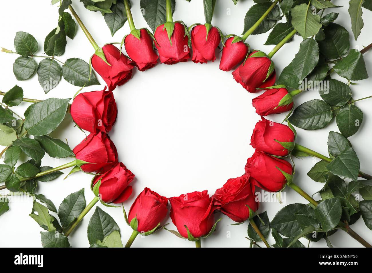 Circle of red roses on white background, space for text Stock Photo - Alamy