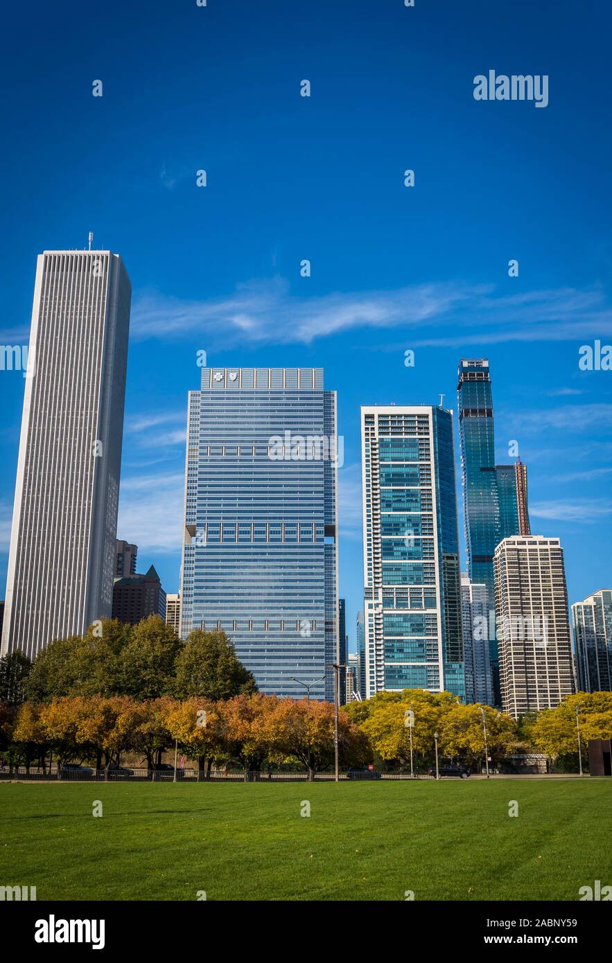 Butler Field and skyline of skyscrapers north the Millennium Park ...