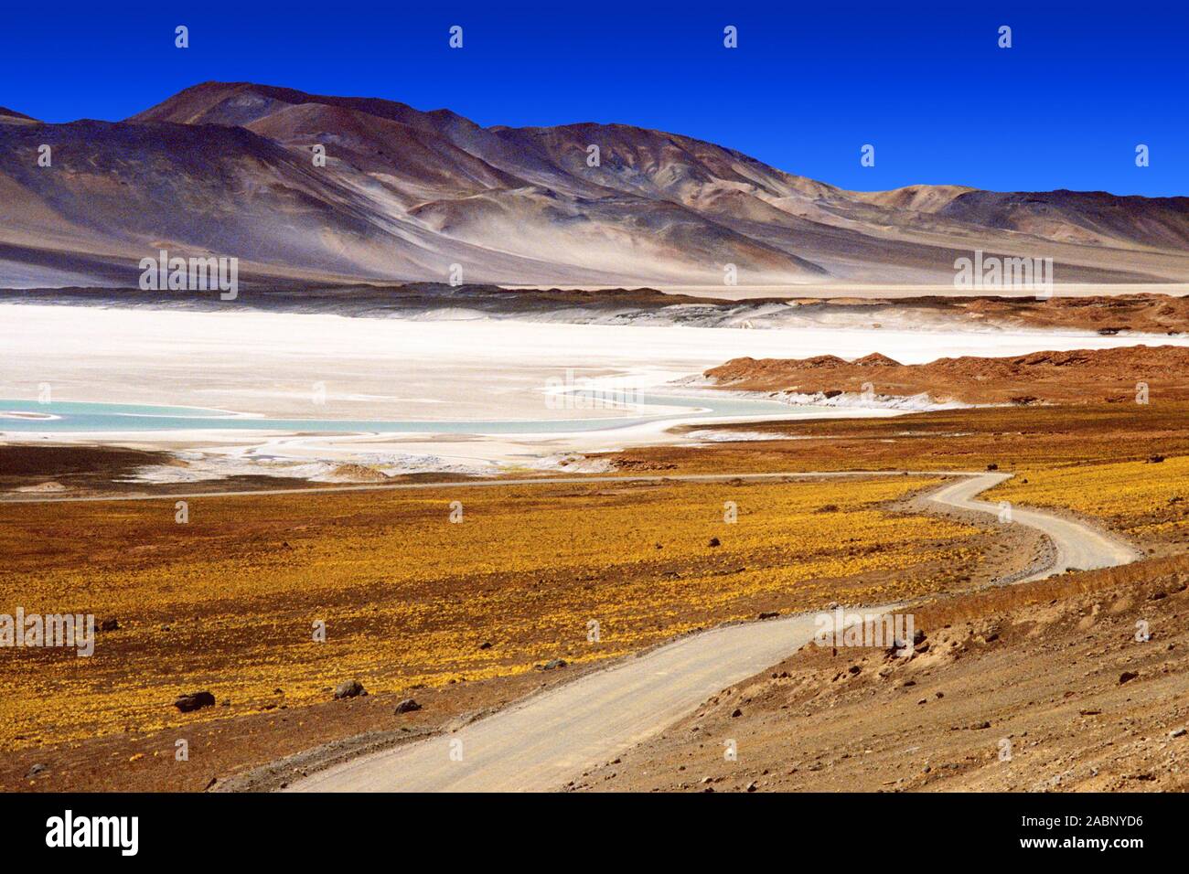 Anden hochland hi-res stock photography and images - Alamy